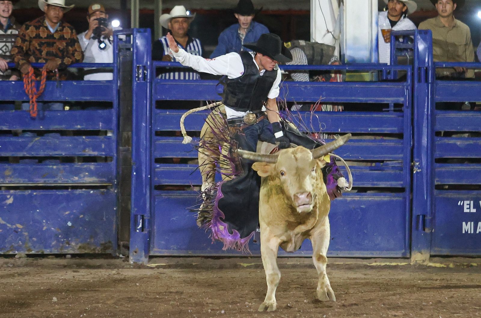 SETUR lleva a cabo con gran éxito la 4ta edición del Circuito de Rodeo ...